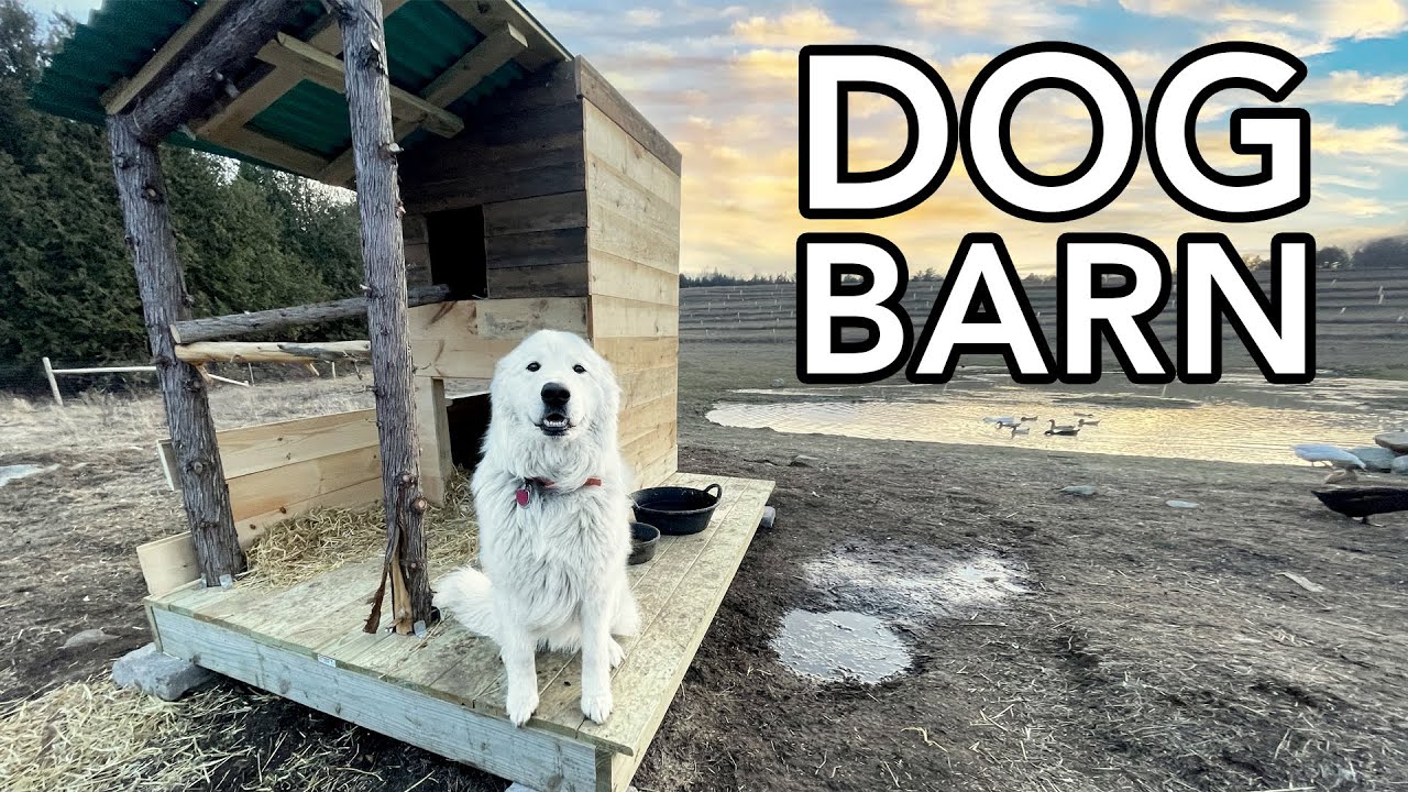 Building the ultimate dog house for farm protection