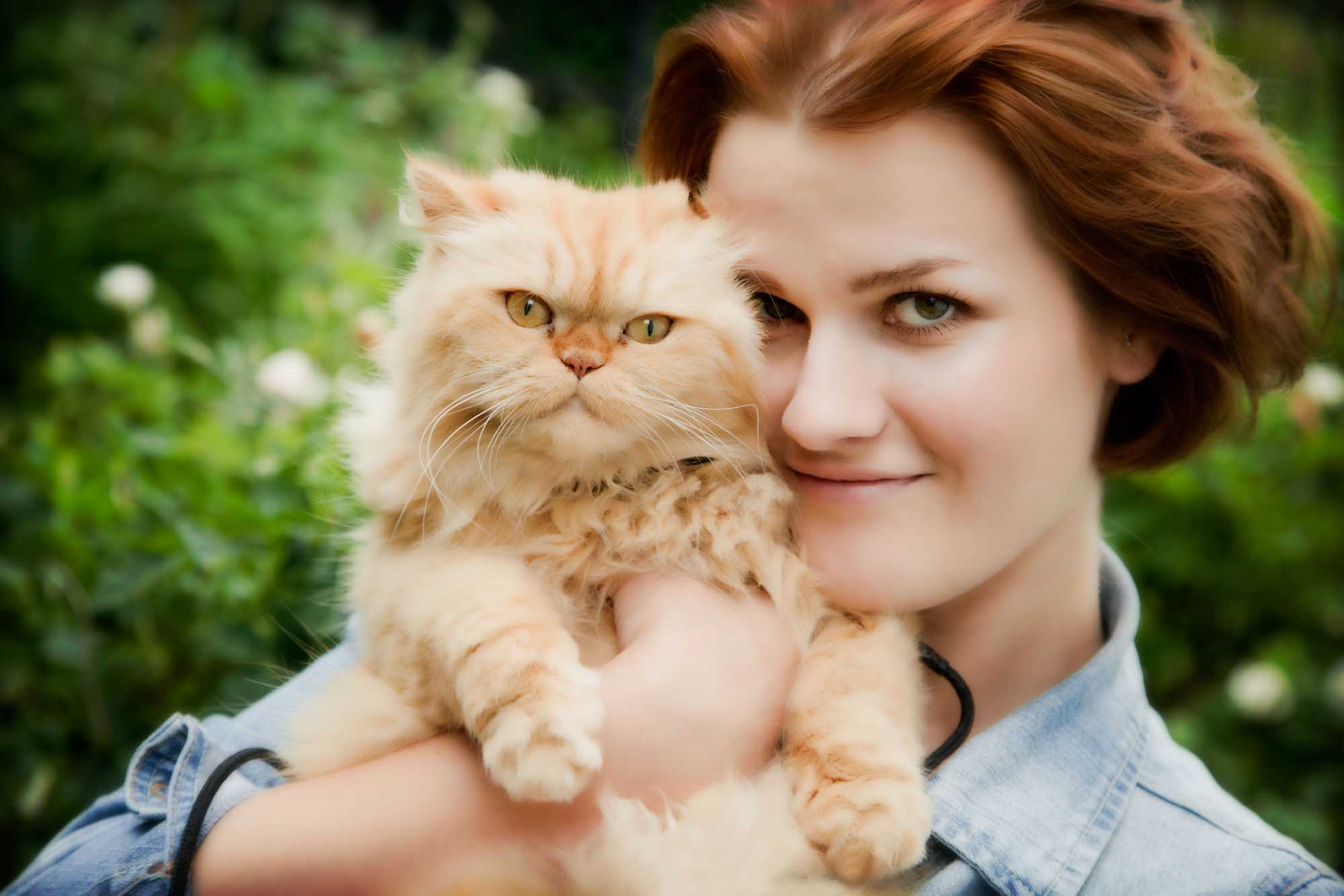 These 16 Cats Are the Friendliest You’ll Ever Meet