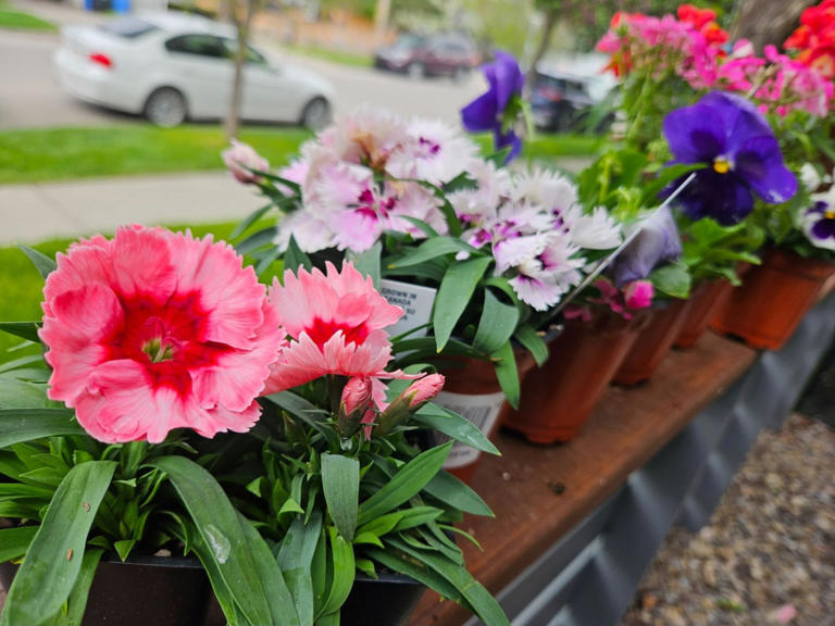 How you can transform a small balcony space into a large garden