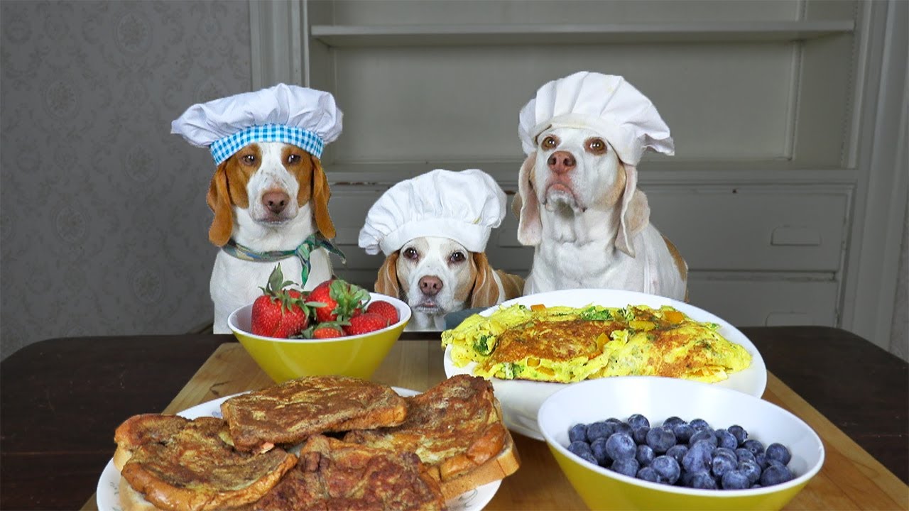 Dogs Cook a Cozy Breakfast Together With Joy