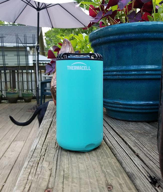 33 products if you want to be the champ at the cookout this year