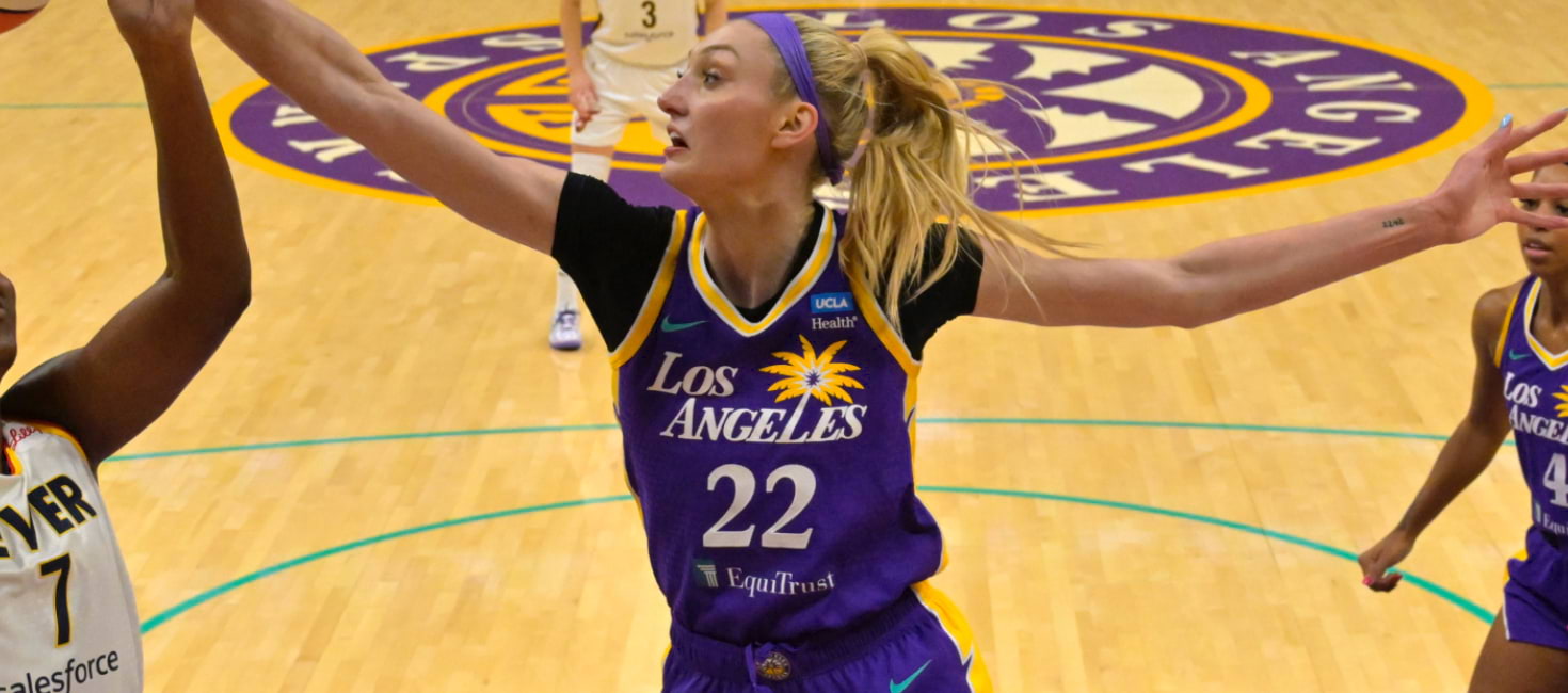 2025 WNBA Futures Bets: Odds, Picks & Predictions