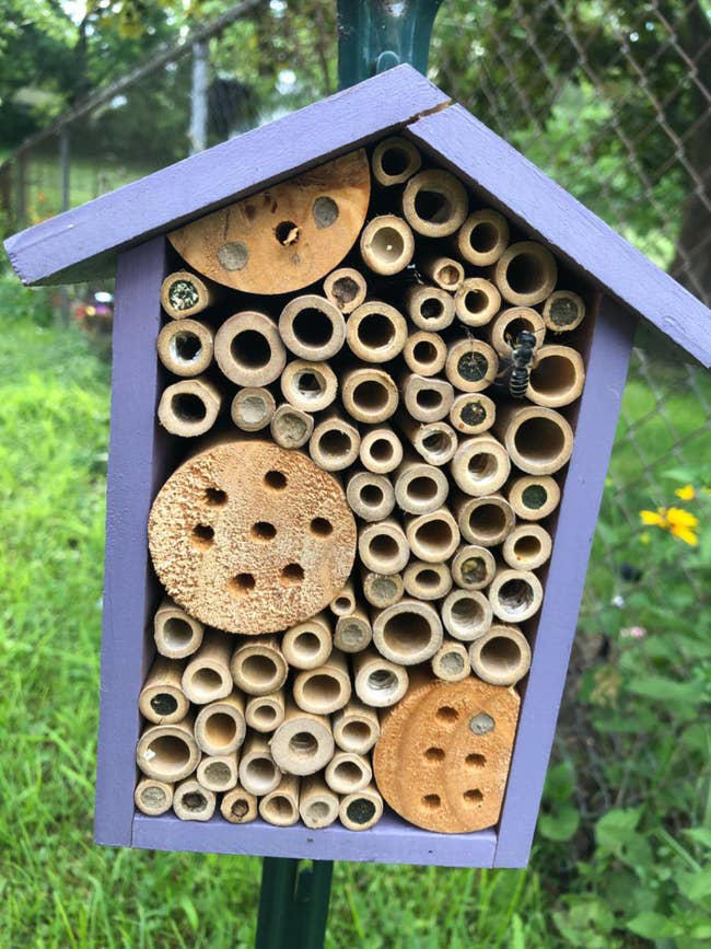 31 Gardening Products That Actually Work And Have The Photographic ...