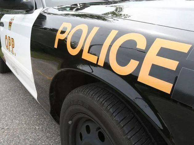 Cannabis worth about $10,000 stolen from Renfrew store