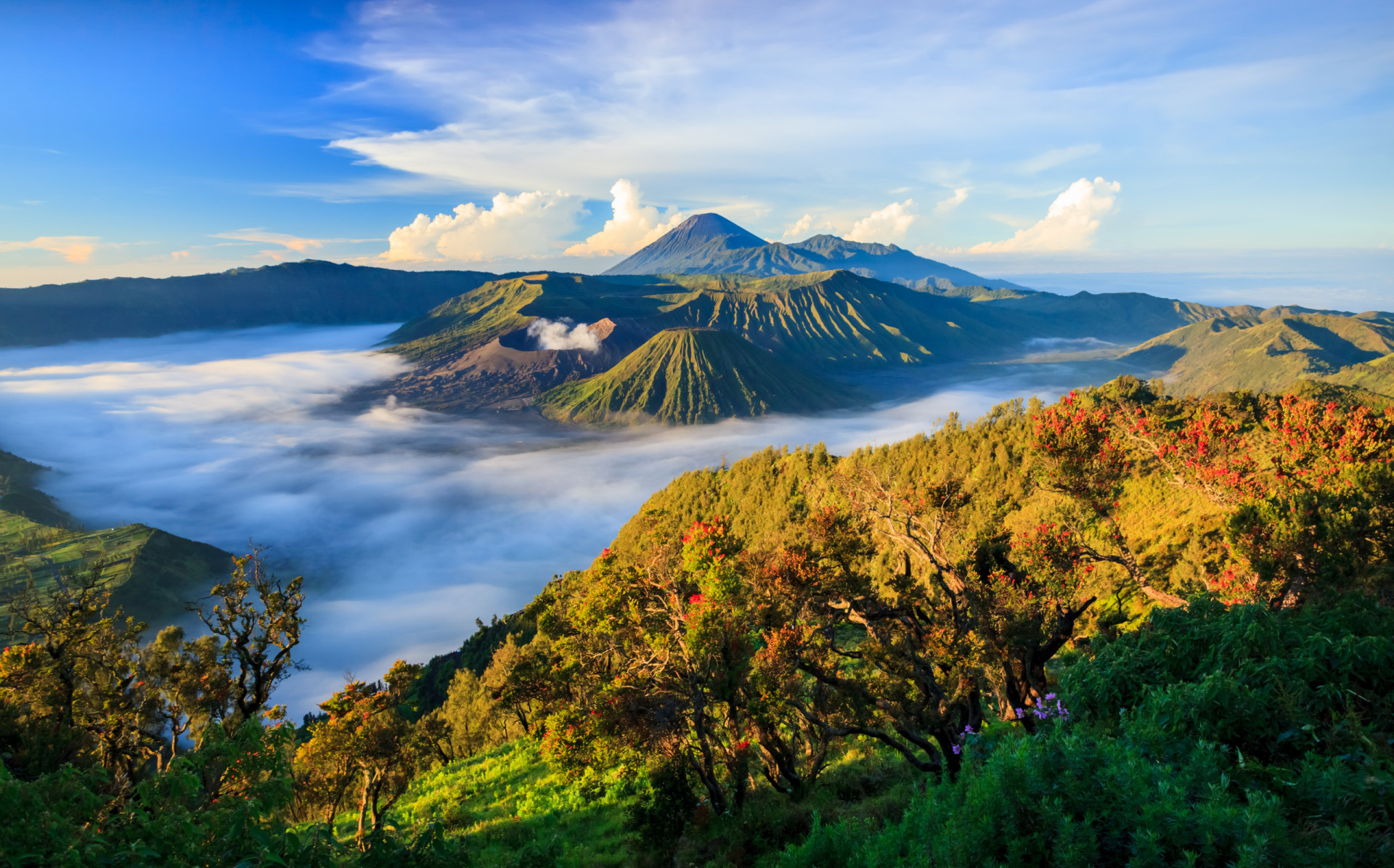 These are the most densely populated islands in the world