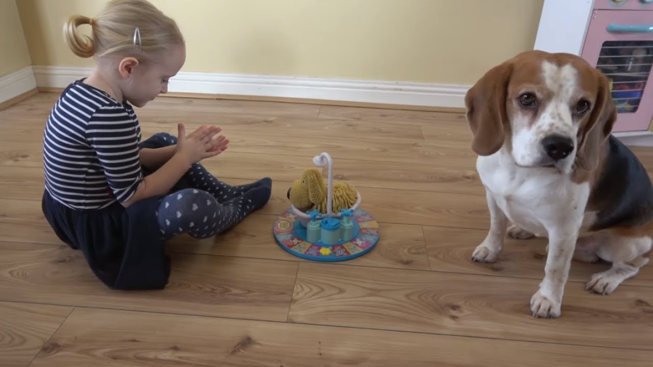 Dog plays Soggy Doggy game with dramatic flair