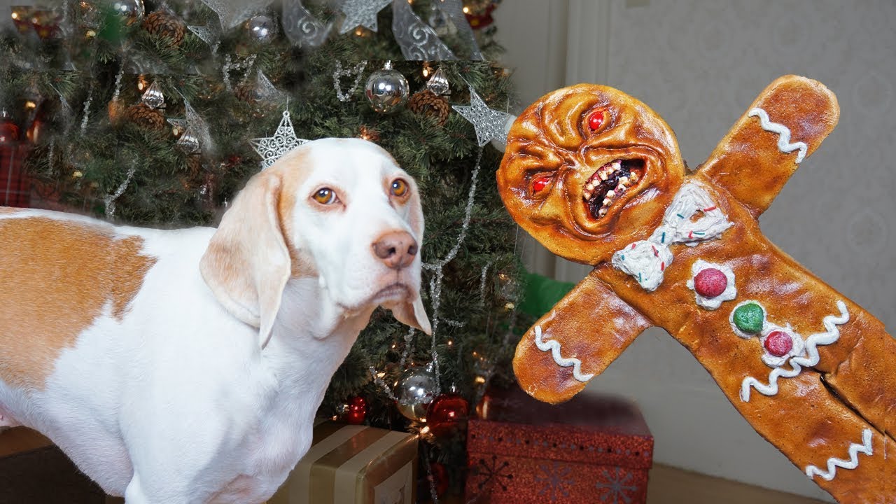Dogs confront evil gingerbread man in prank