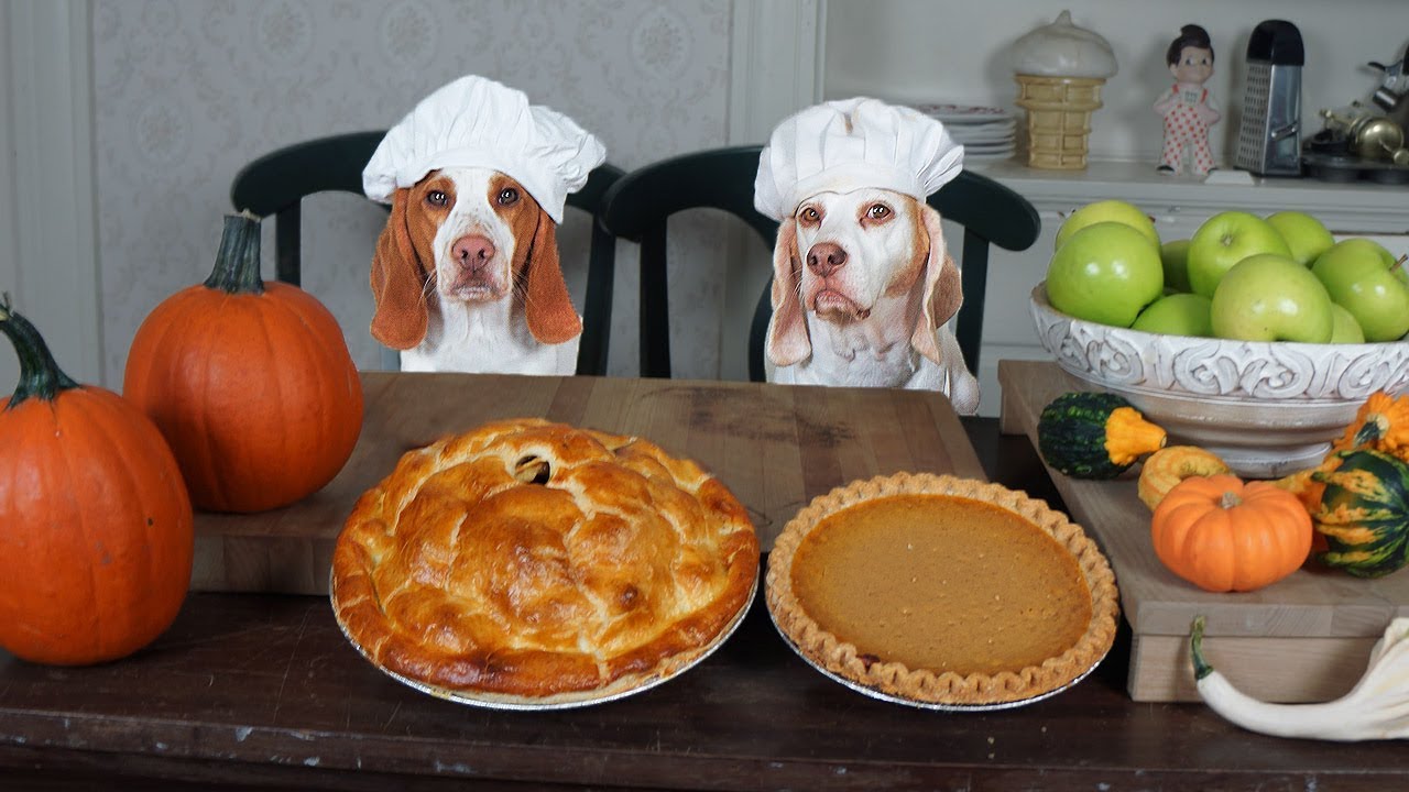 Chef Dogs Get Creative with Pie-Baking Adventures