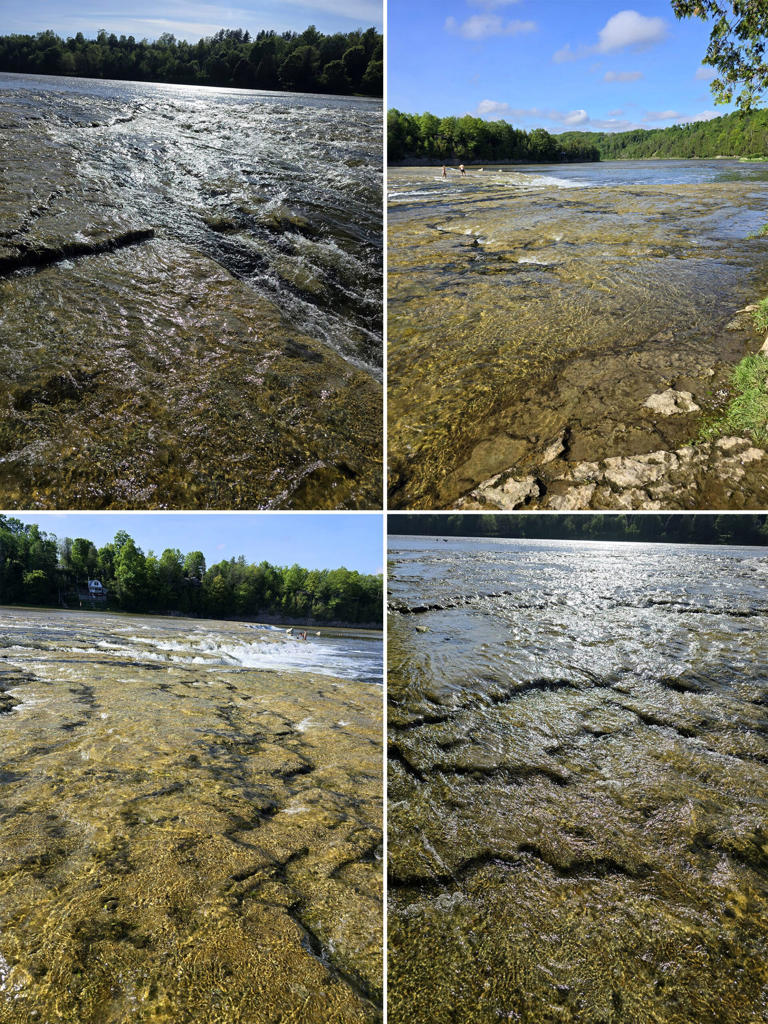 Falls Reserve Conservation Area