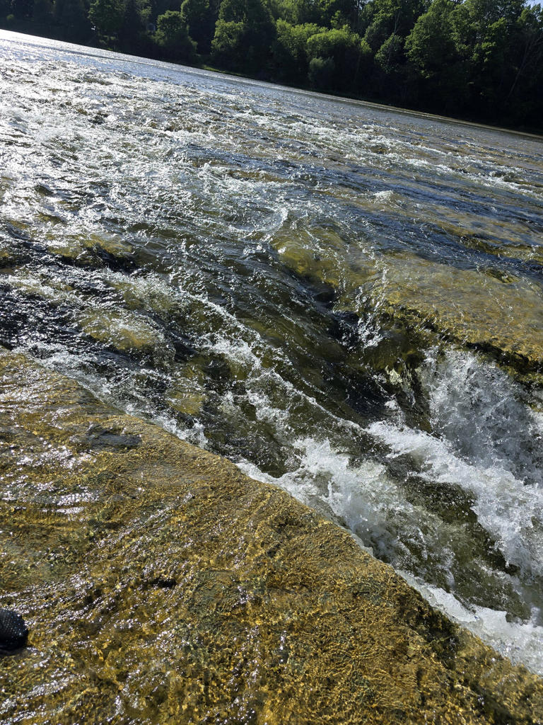 Falls Reserve Conservation Area