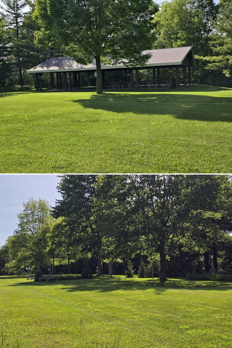 Falls Reserve Conservation Area