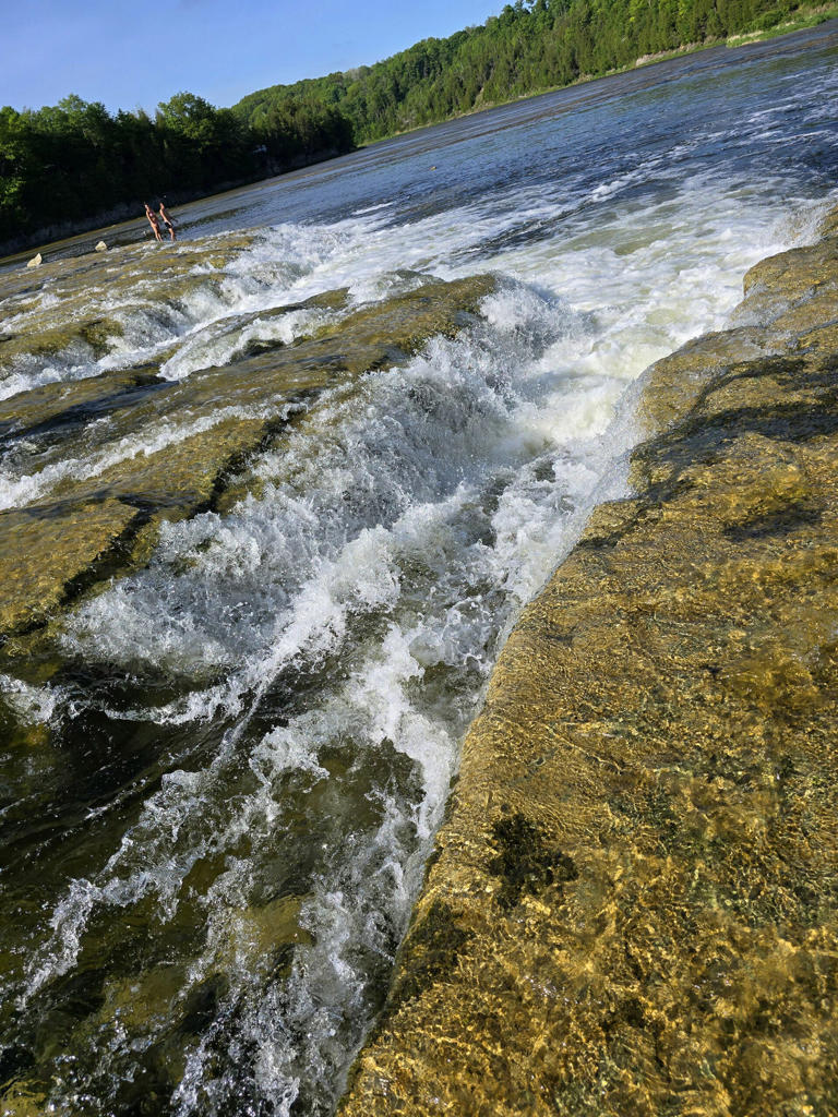 Falls Reserve Conservation Area