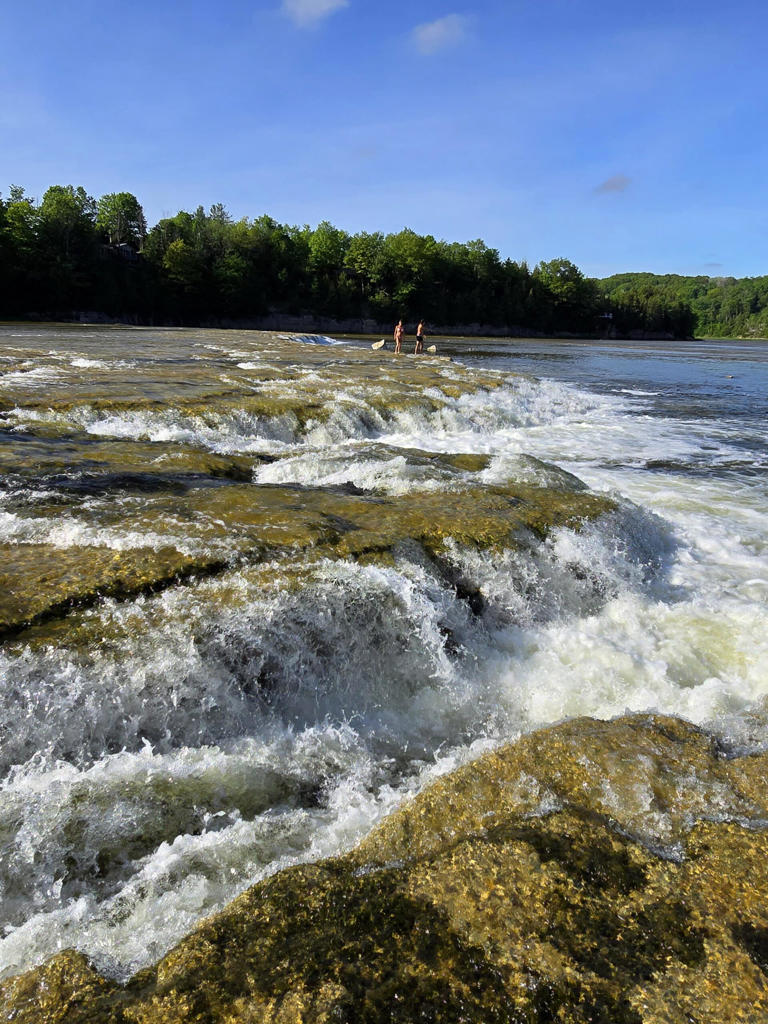Falls Reserve Conservation Area