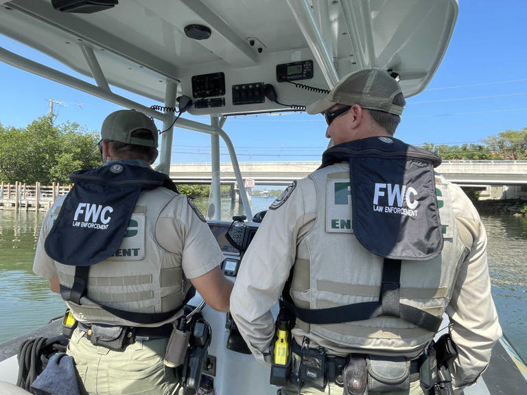 Florida Fish and Wildlife Conservation Commission officers capture ...