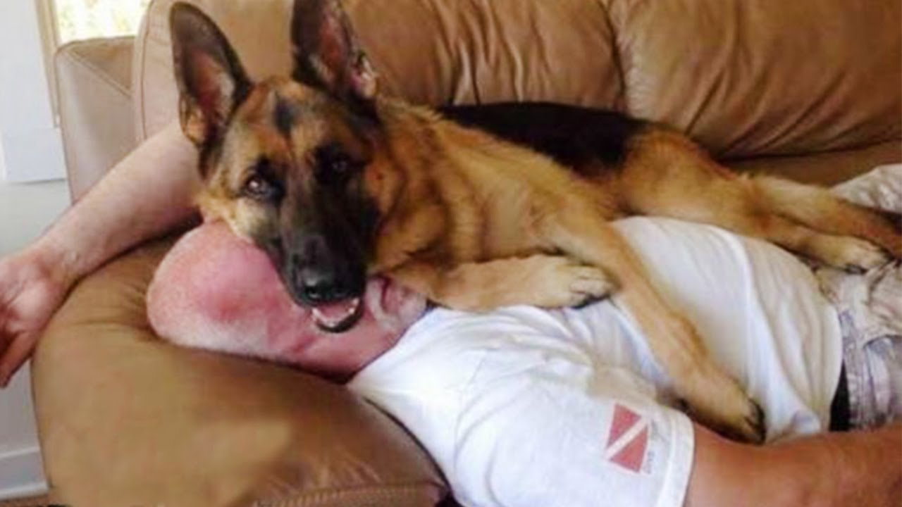 13 Dog and Human Moments Too Funny to Miss
