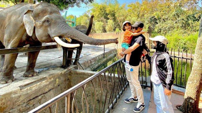 Itinerary Liburan di Kota Batu 4 Hari 3 Malam Long Weekend, Naik ...