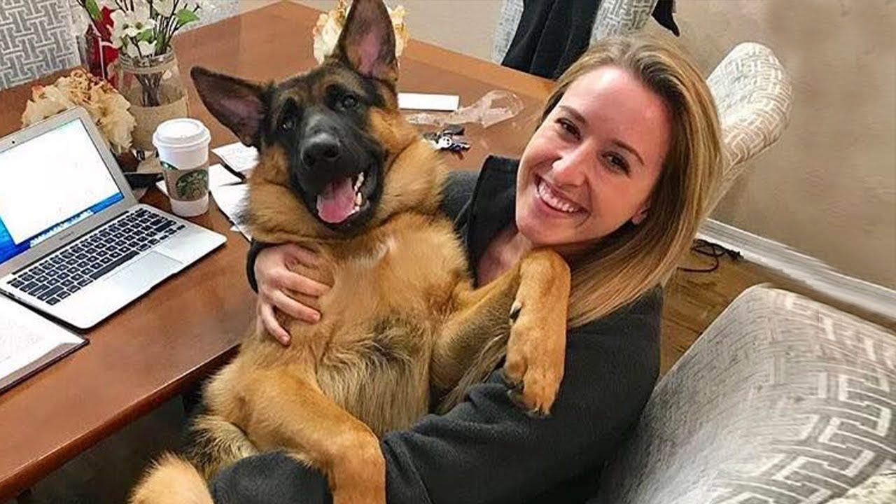These Soulmate Dogs and Owners Are Pure Joy