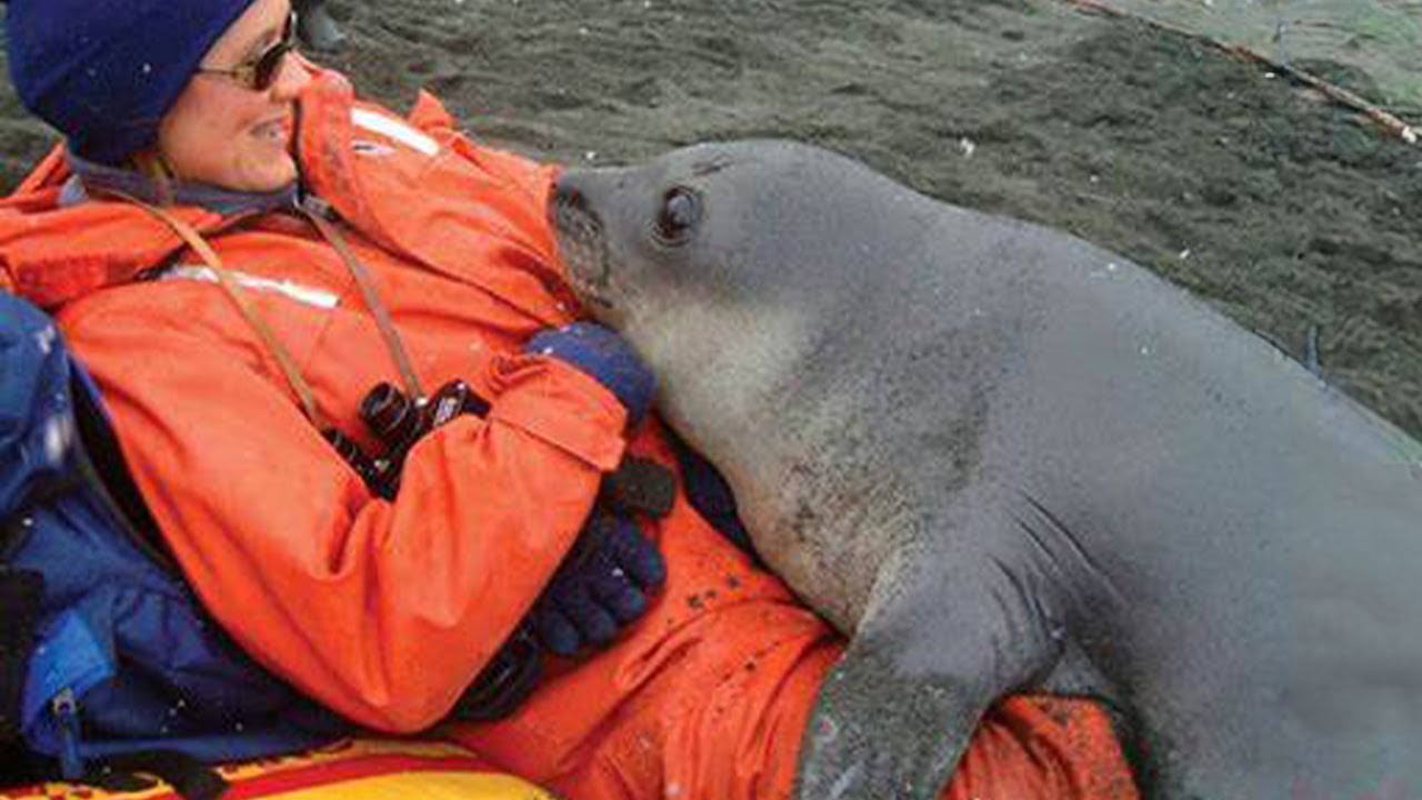Animals Show Adorable Obsession With Their Humans
