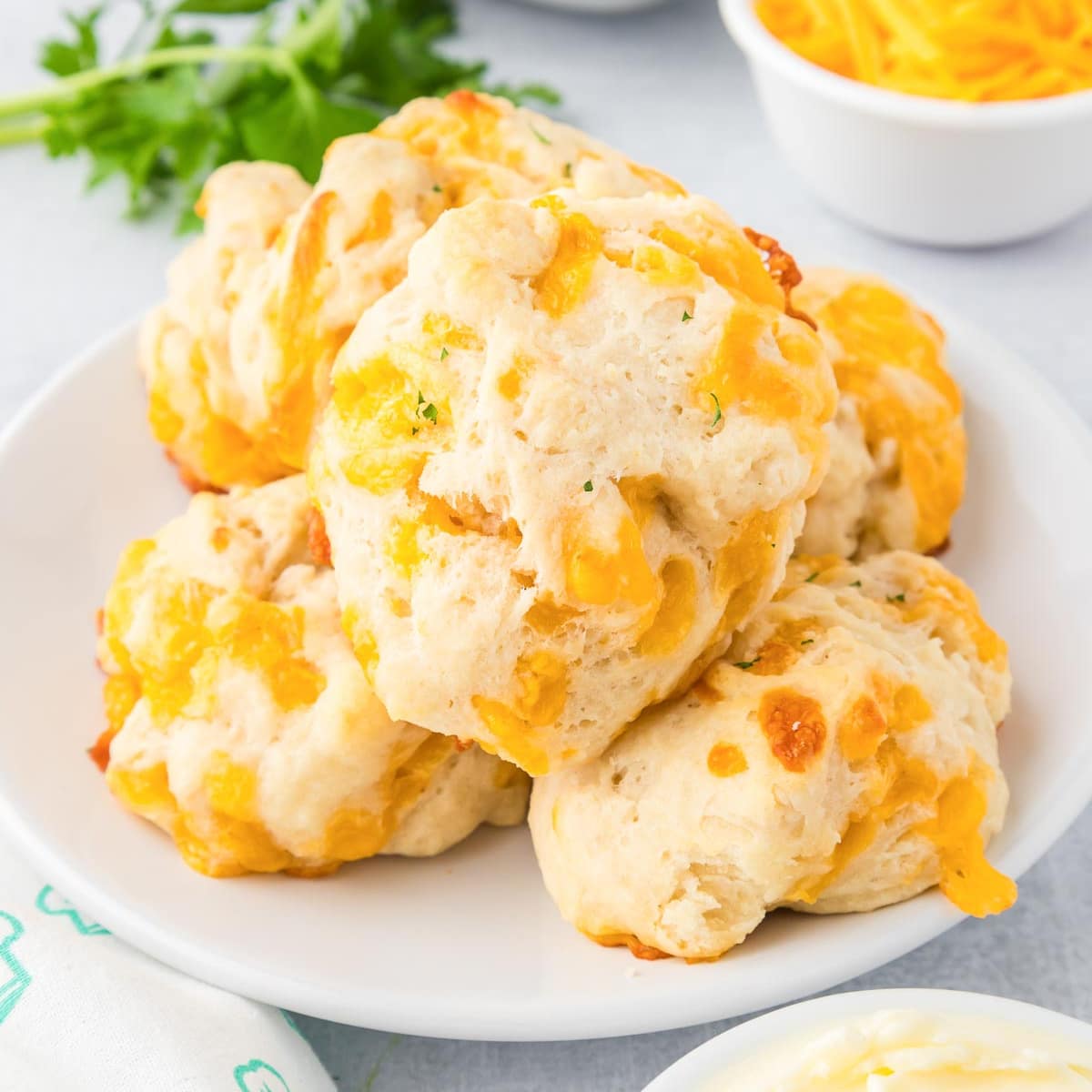 Cheddar Garlic Biscuits