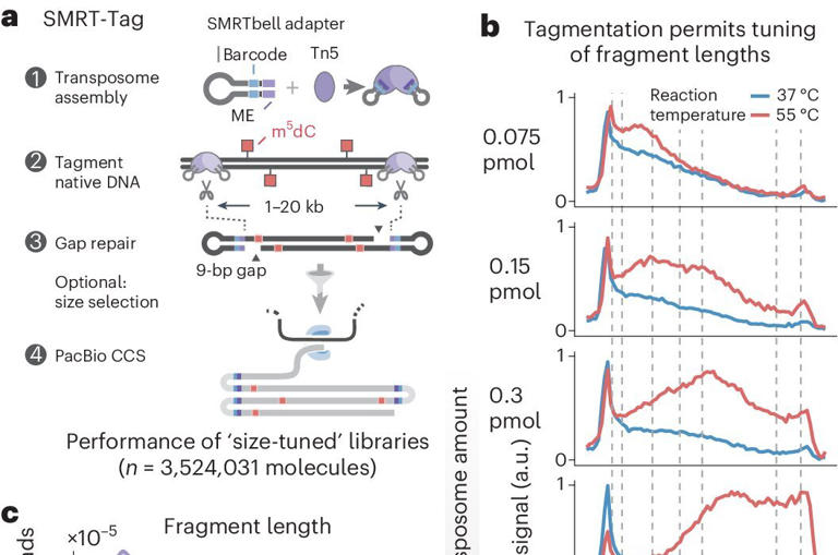 Scientists Push Single Molecule Dna Sequencing To The Next Level