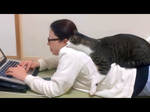 Cats and their humans share a rare kind of friendship