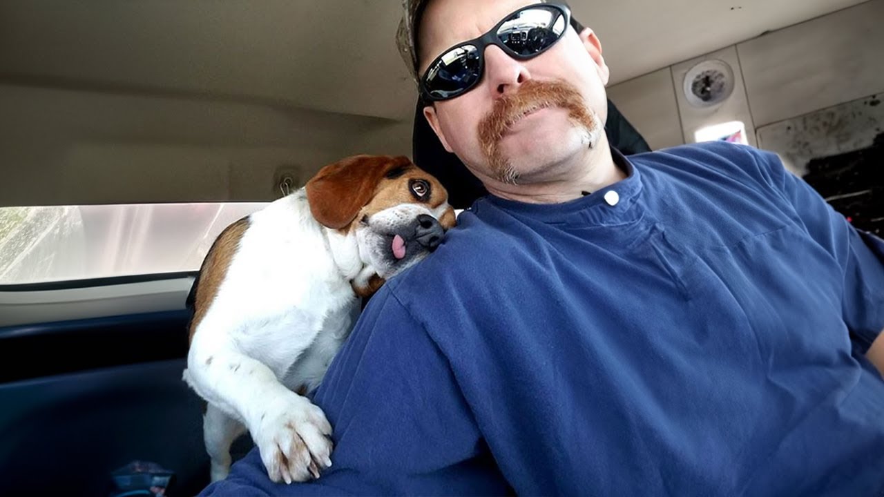 Puppy Love Moments That'll Melt Your Heart Instantly