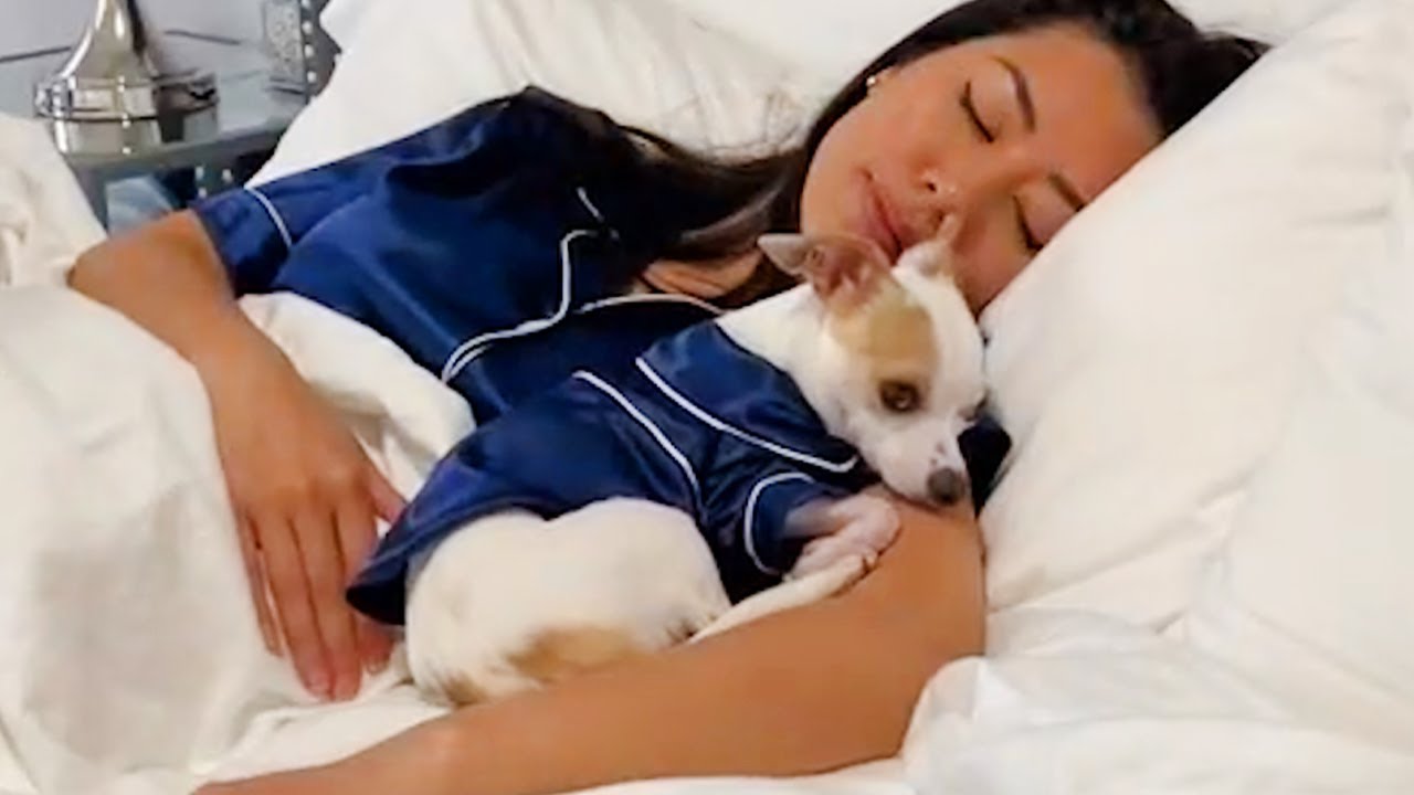 Dogs Love You More Than You Could Ever Imagine