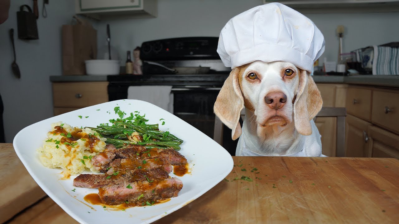 Dog prepares a steak dinner for friends