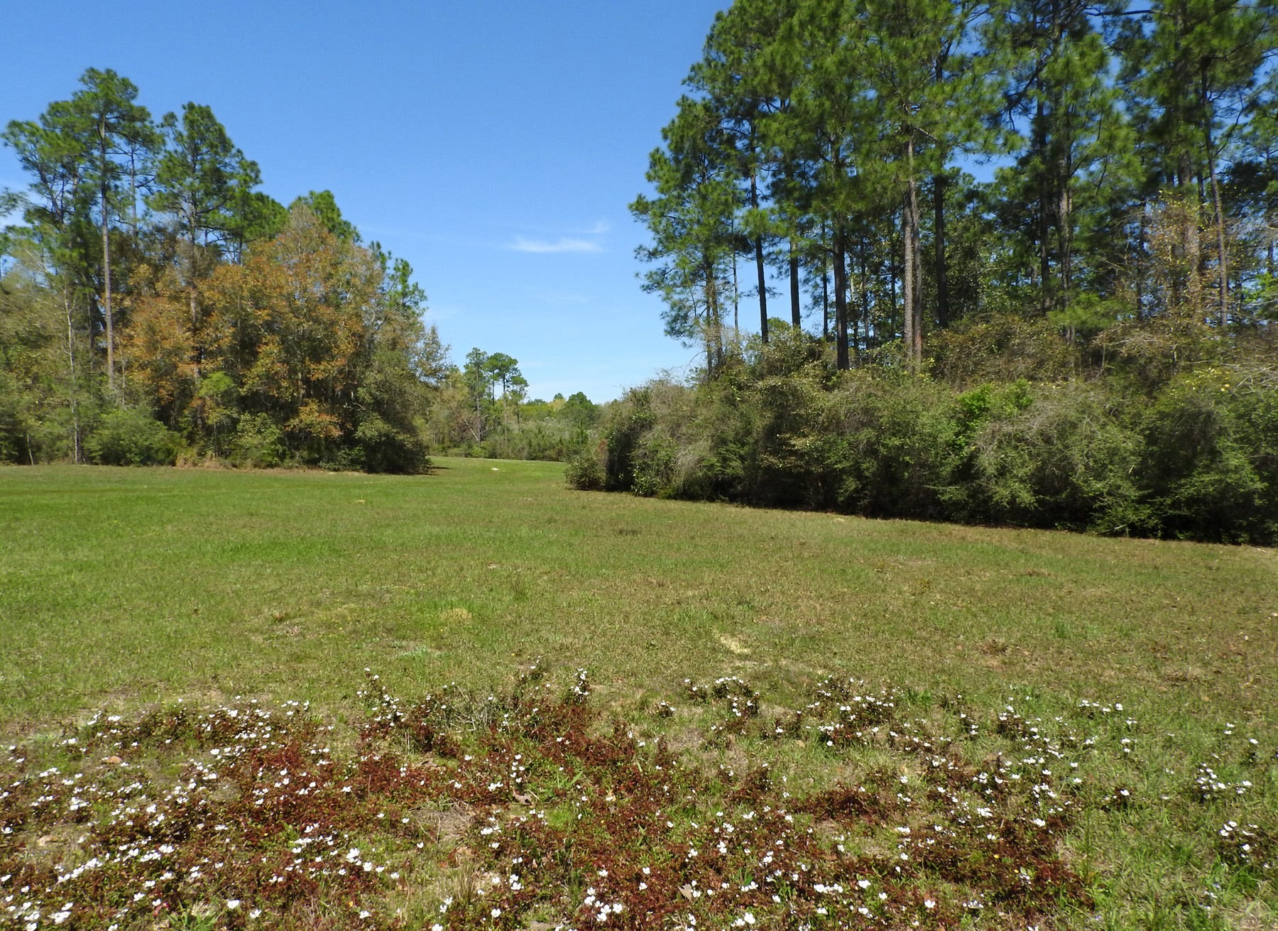 OLF 8 rebranded as 'Outlying Fields’ the 'beating heart of Beulah ...