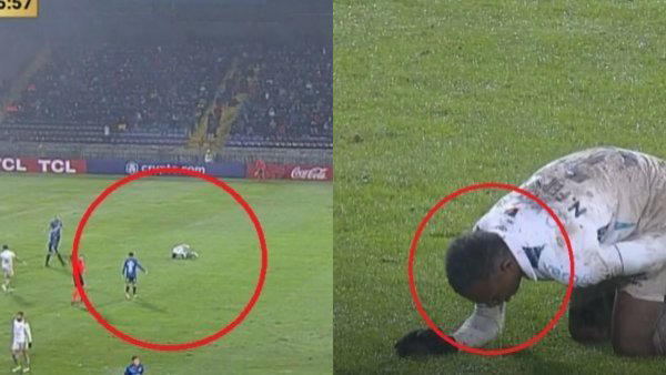 La Insólita Imagen Del Duelo De Huachipato Ante Gremio Que Se Hizo Viral