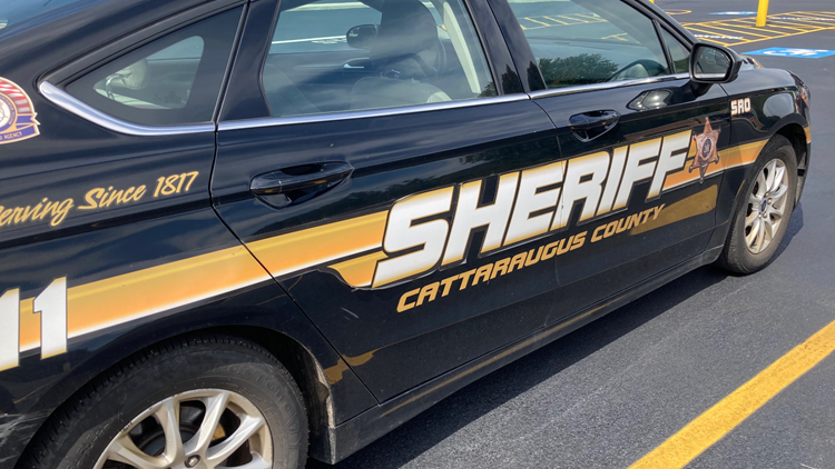 Horse spooked by plow sends Amish buggy into ditch in Cattaraugus County