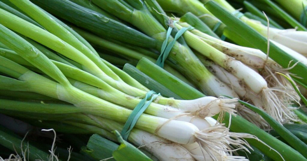 10 Vegetables You Can Regrow From Scraps Over And Over Again 10 Vegetables You Can Regrow From Scraps Over And Over Again