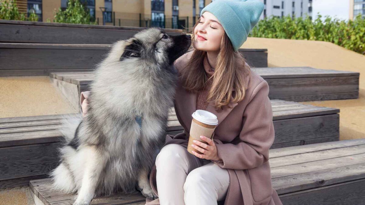 12 Lesser-Known Dog Breeds That Make Amazing Family Pets