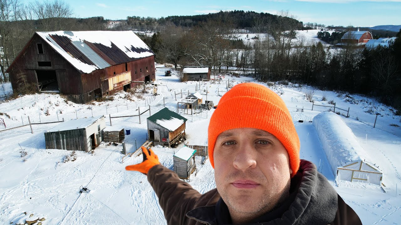 Vermont Farm Tour: Cattle, Ducks, Geese in Winter