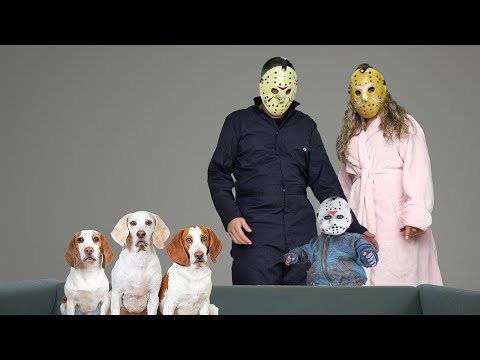 Dogs prank baby Jason and Voorhees family in horror spoof
