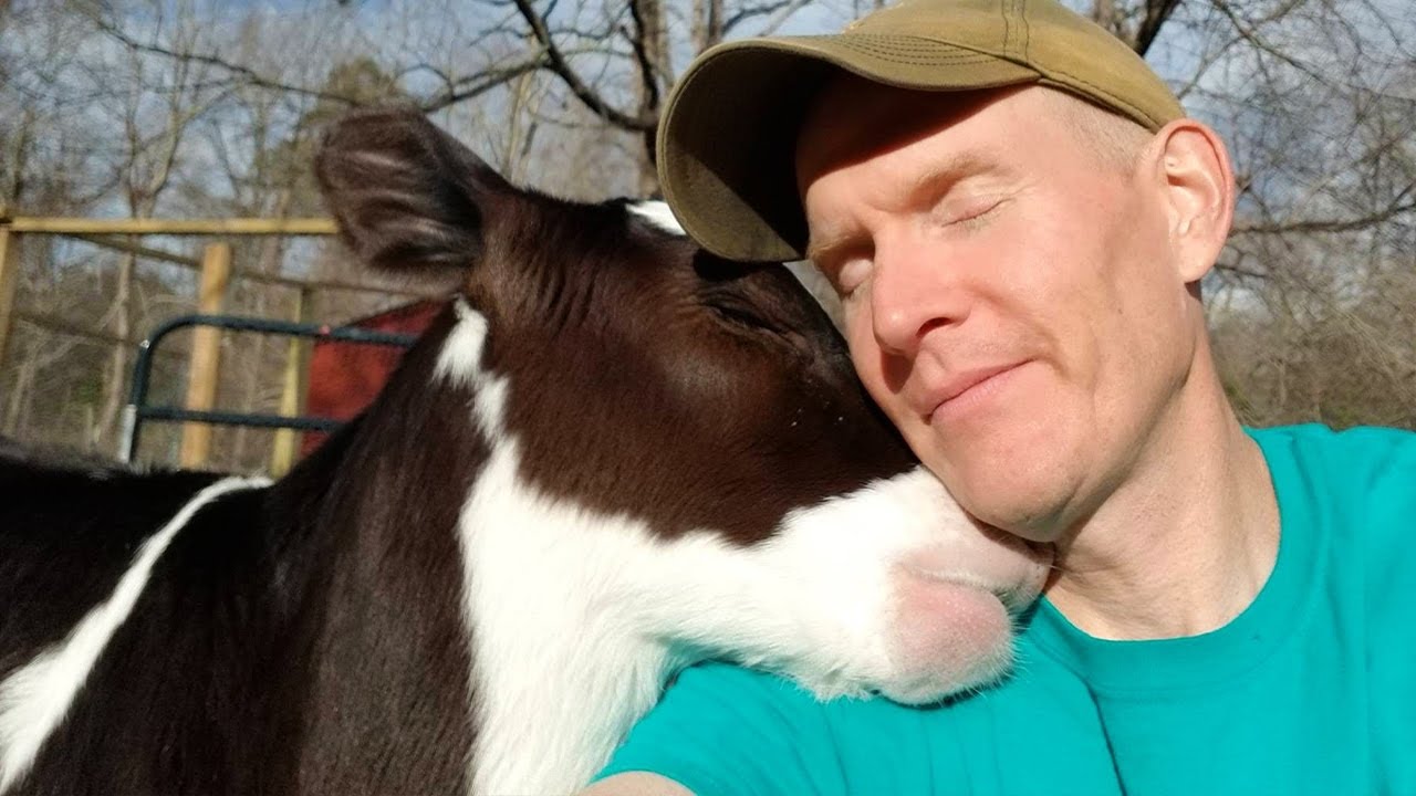 Adorable animal videos to brighten your mood