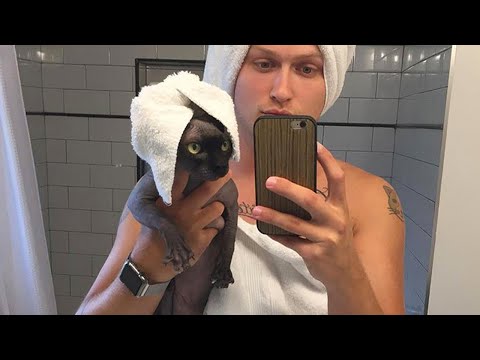 Cute cats become BFFs with humans in heartwarming videos