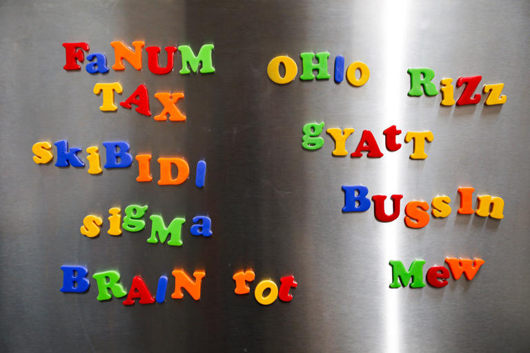 Oxford Dictionary picks slang phrase 'brain rot' as Word of the Year ...