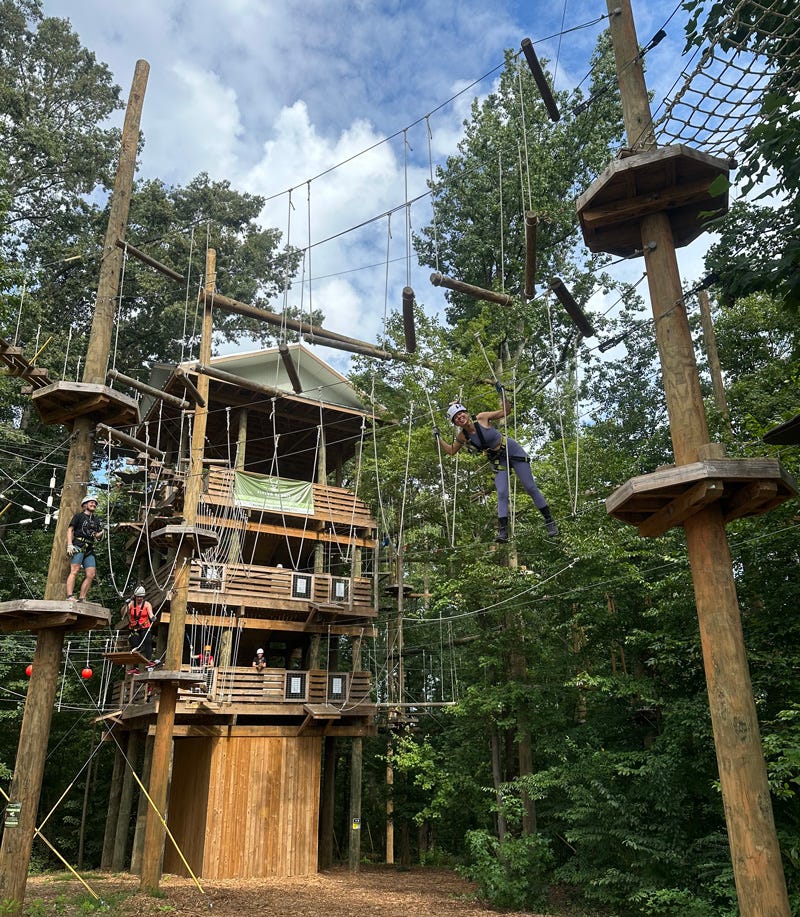 Greenville has one of the best aerial adventure parks in country, per ...