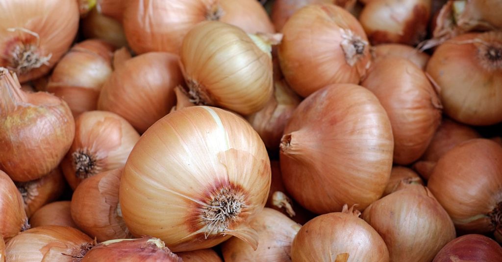 15 Perfect Companion Plants That Grow With Beets