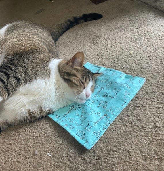 Just 32 fun products your cat called and told me they’d like you to buy ...