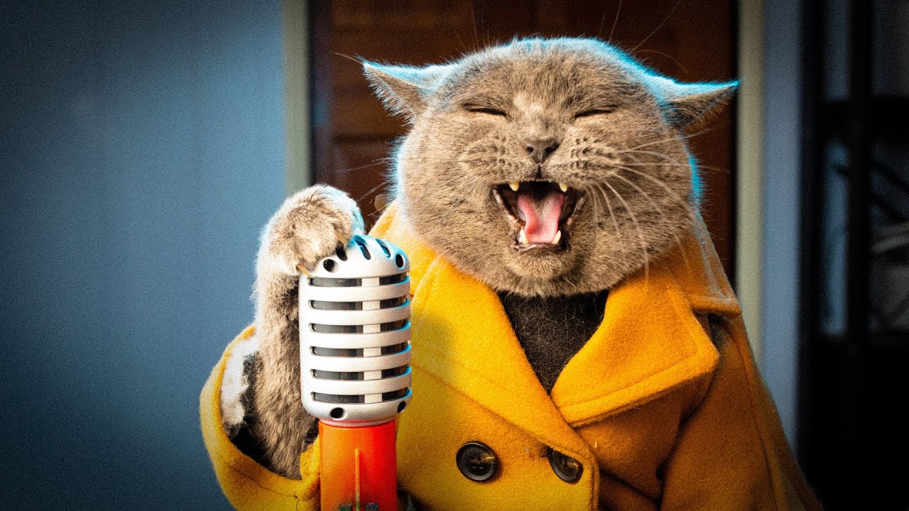 Famous Internet Cat Makes His Own Rick Roll Video!