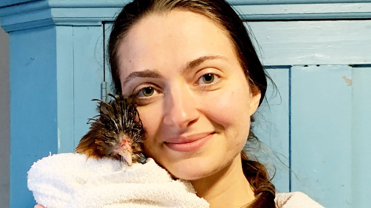 The Weird New Bird on Our Farm