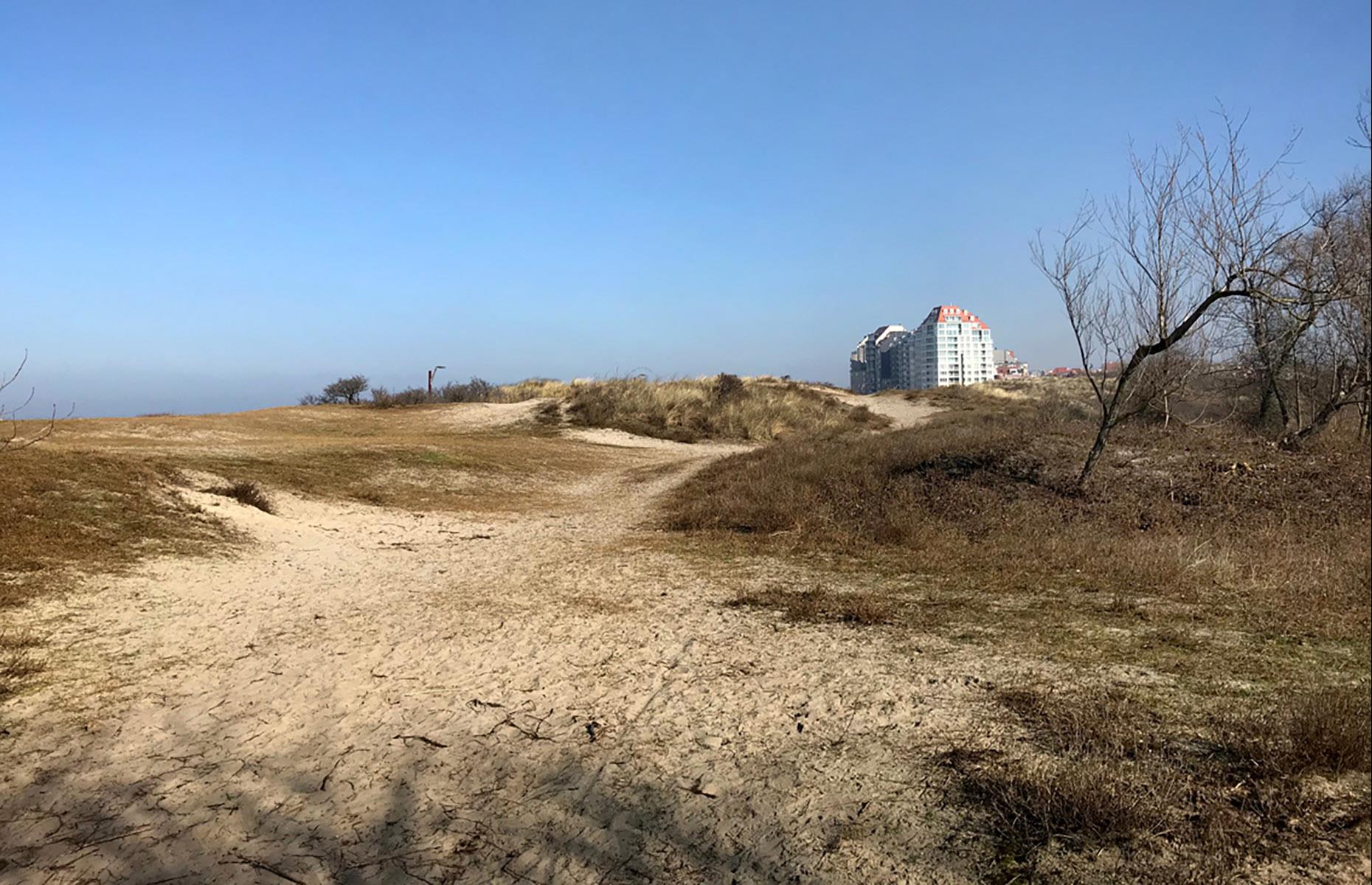 Six Long-Lost War Bunkers That Were Nearly Lost Forever