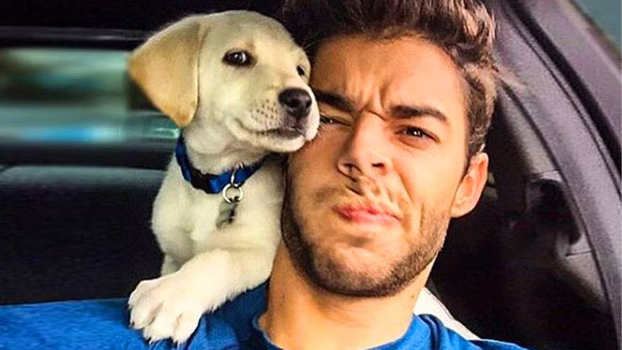 Funniest dogs and humans proving pets are pure joy