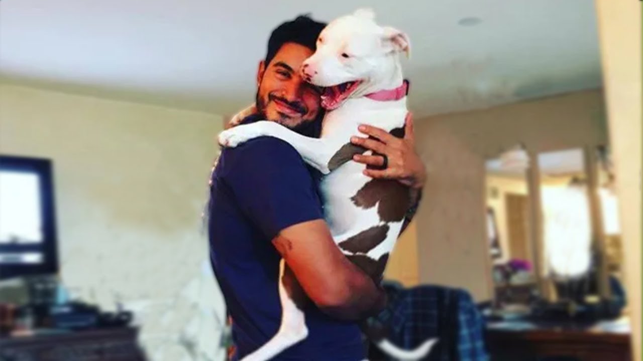 Dogs being goofy and loyal with their favorite humans