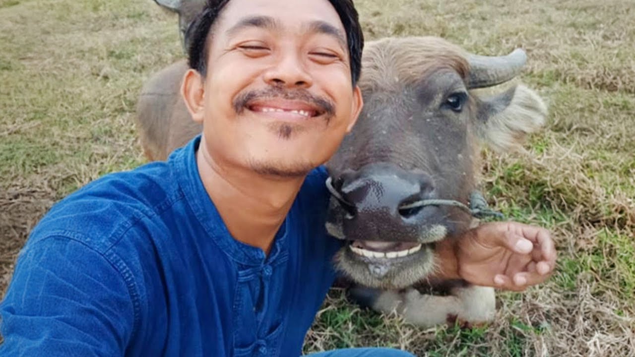 The funniest animal videos that will make your day