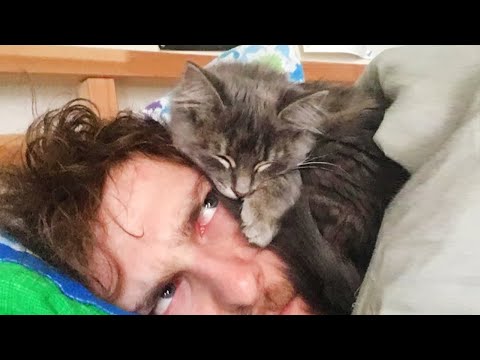 Sleeping with cats: what it really means for your health