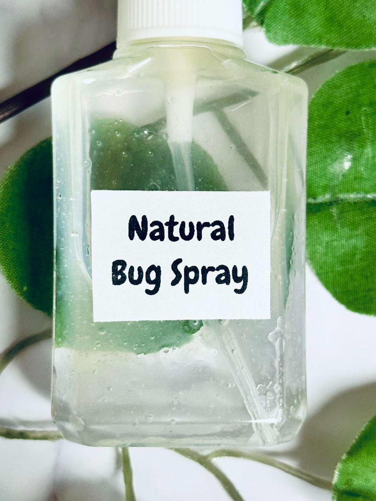 The Best Bug Spray With Natural Ingredients