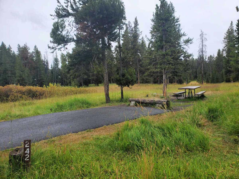 Bridge Bay Campground in Yellowstone National Park